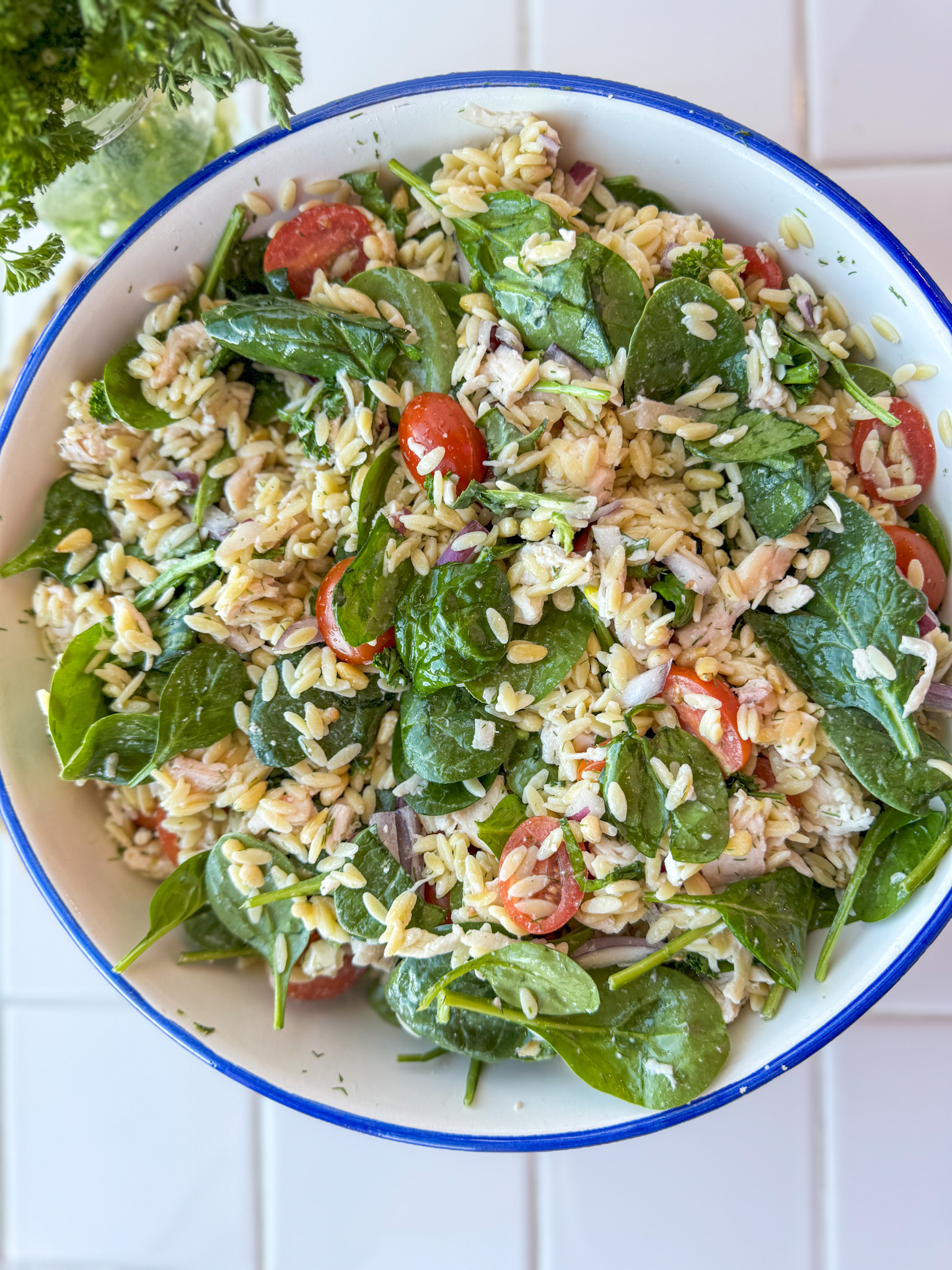 Orzo Salad Recipe - Alex Daynes